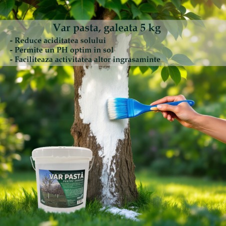 Var pasta pentru pomi/copaci, 5 kg, galeata cu maner