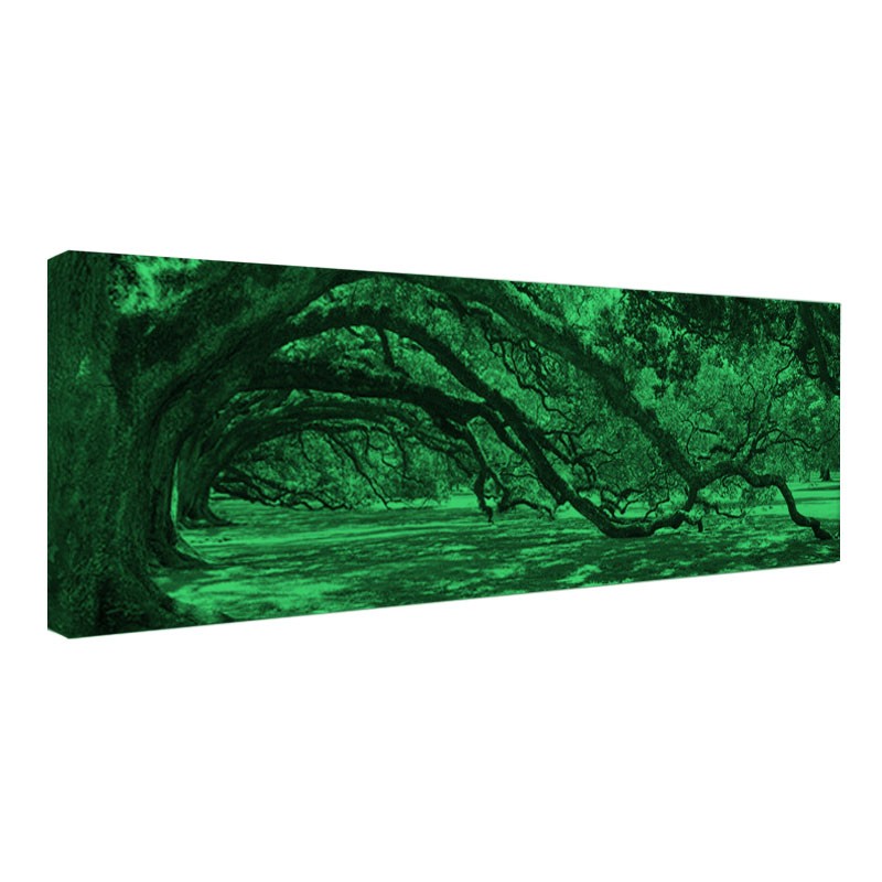 Tablou fosforescent Copaci batrani