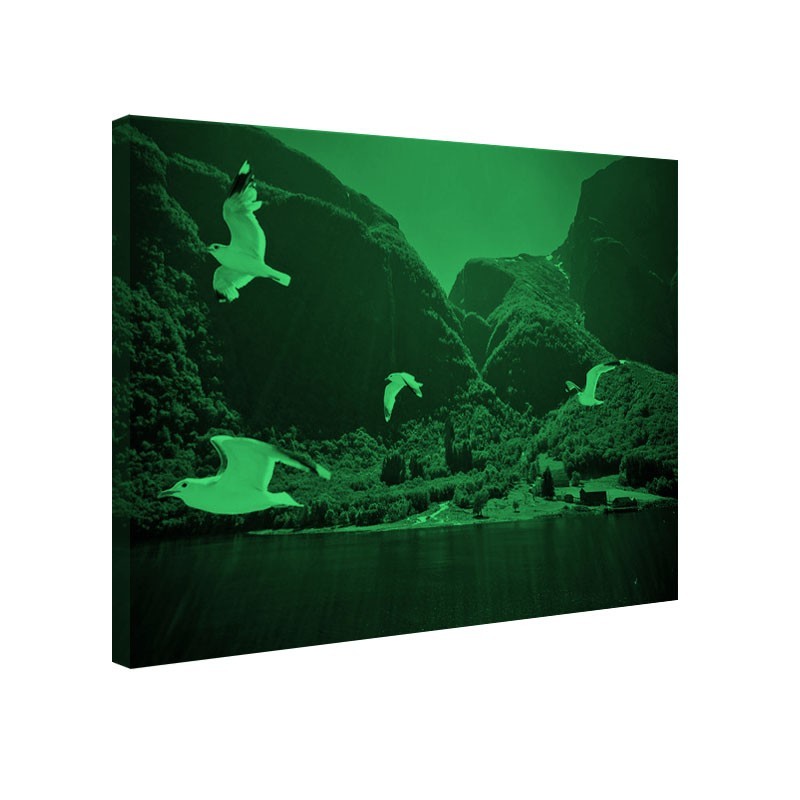 Tablou fosforescent Fiord