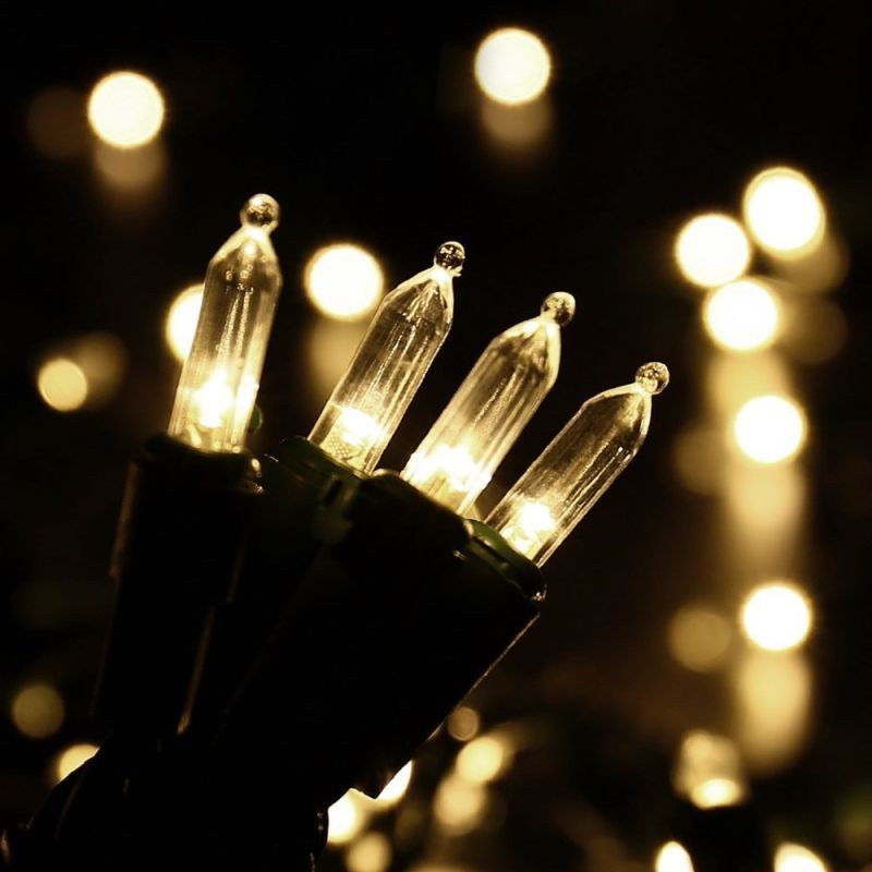 Plasa de lumini pentru exterior, 6x4 m, 400 LED-uri, alb, Home